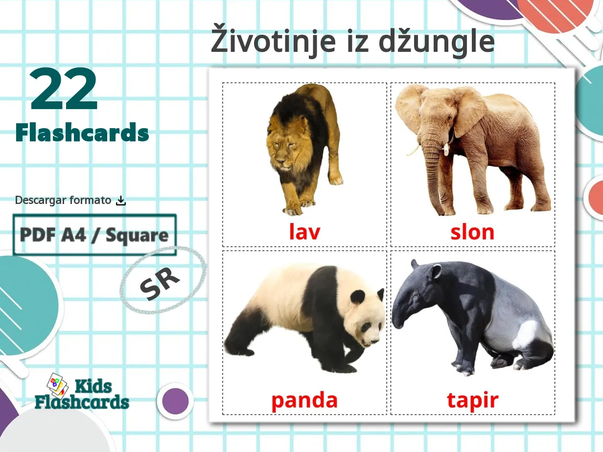 22 Tarjetas de Aprendizaje de Animales de la Selva GRATIS en PDF ...