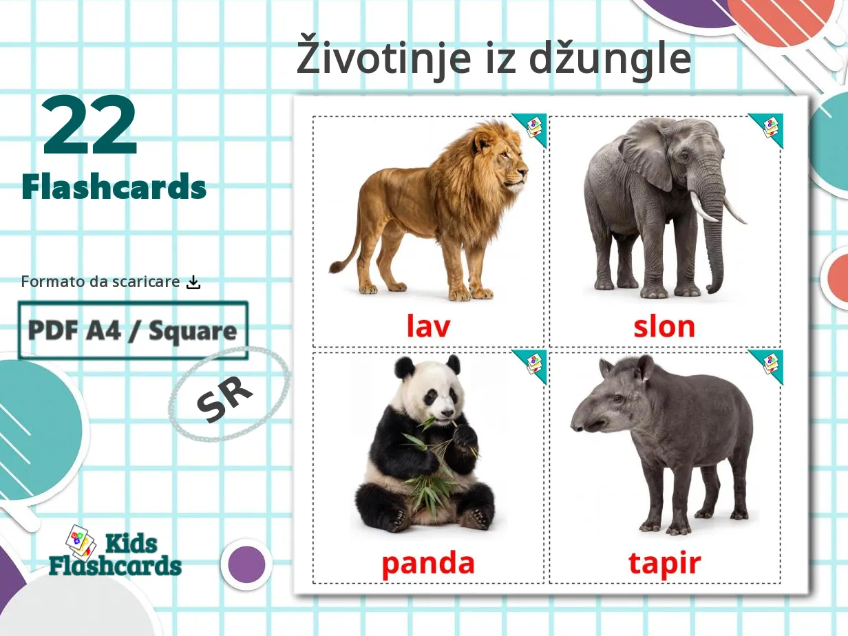 22 Flashcard GRATUITE sui Animali della giungla in 4 Formati PDF ...