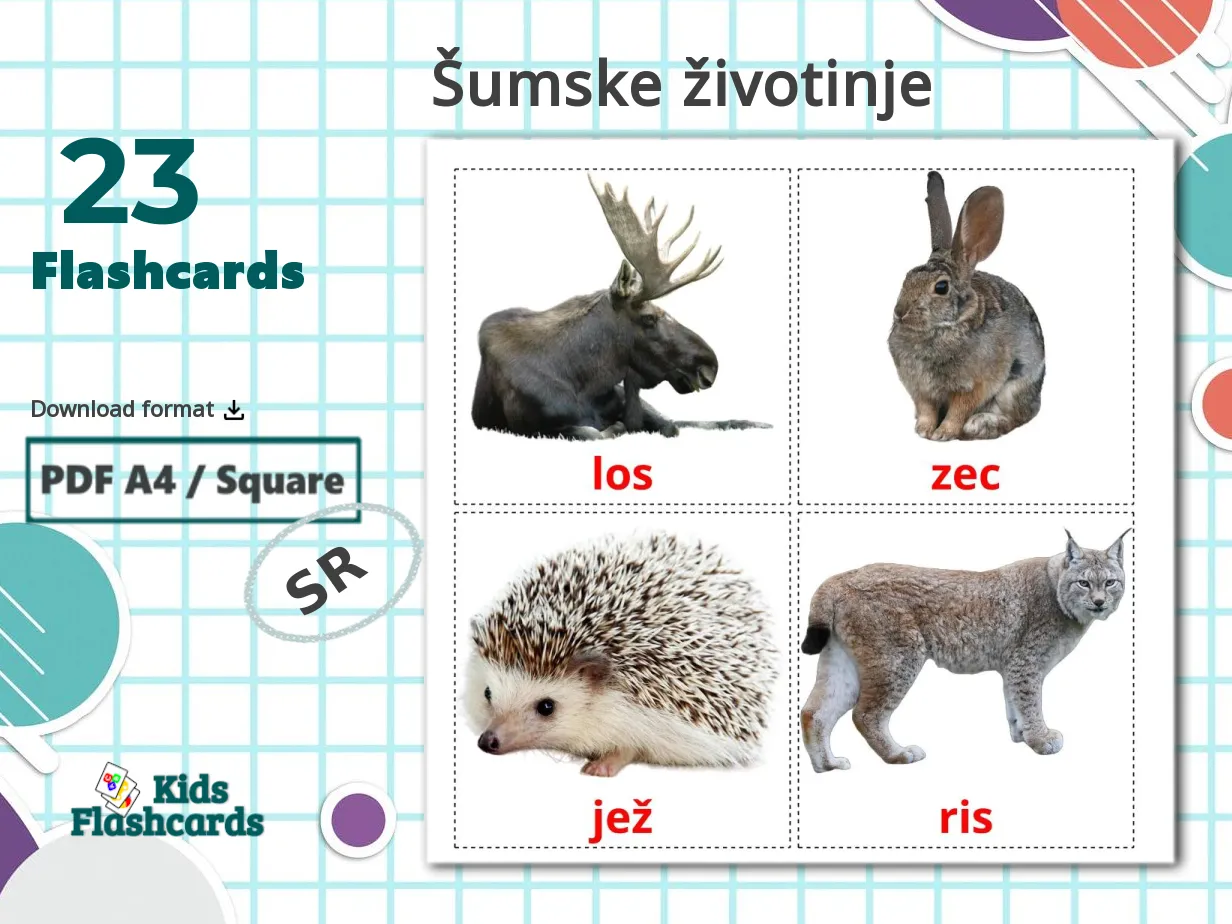 23 Printable Forest animals Flashcards in Serbian (Free PDF)