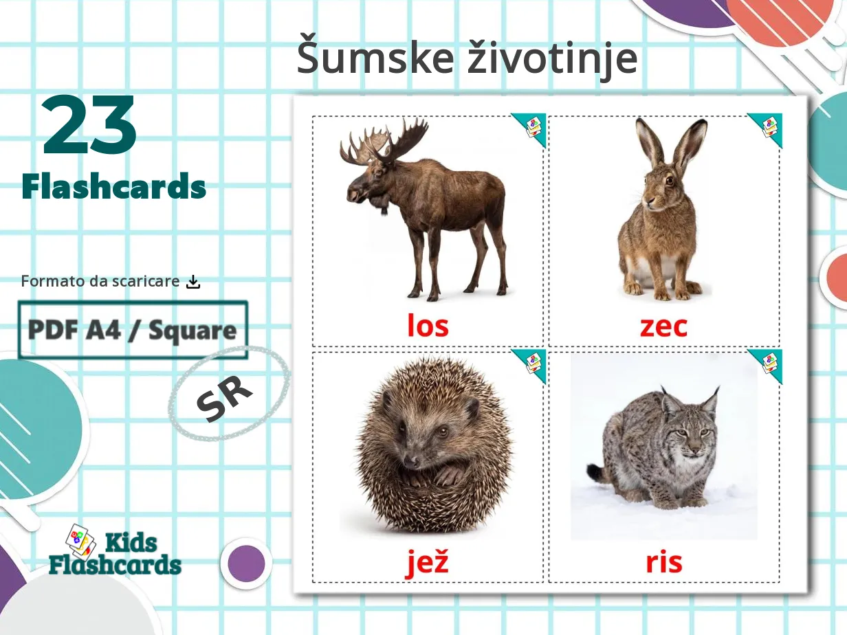 23 Flashcard GRATUITE sui Animali della foresta in 4 Formati PDF ...