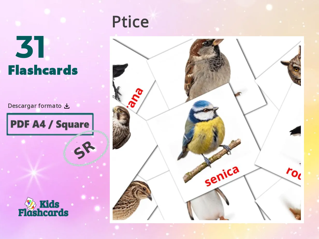 31 Tarjetas Didacticas de Aves para Imprimir GRATIS en Serbio | PDFs