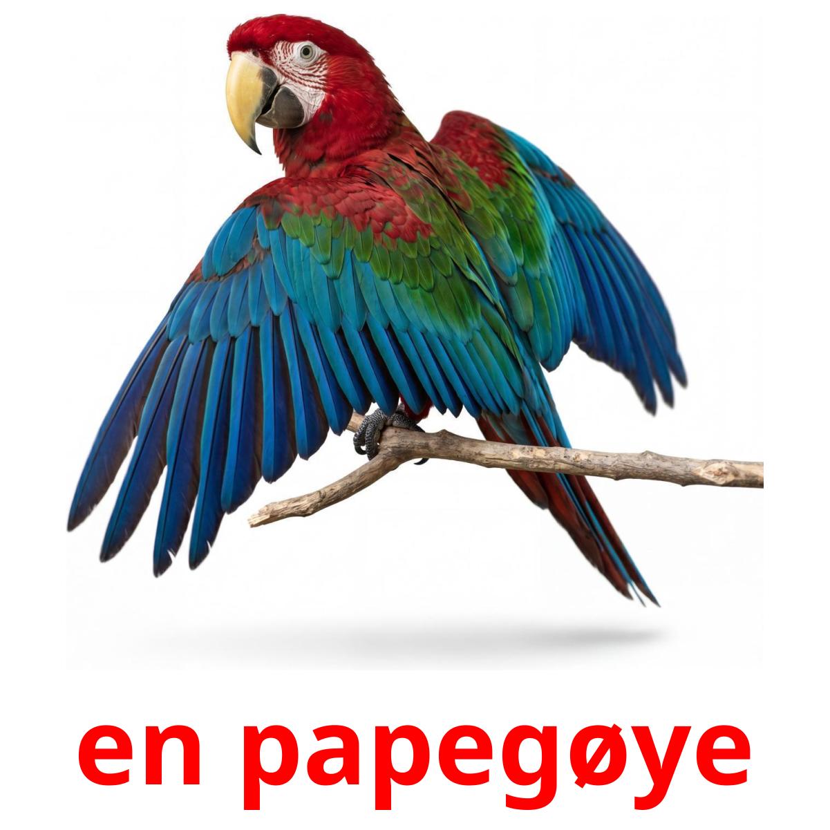 10 FREE Domestic animals Flashcards | PDF | Swedish Words
