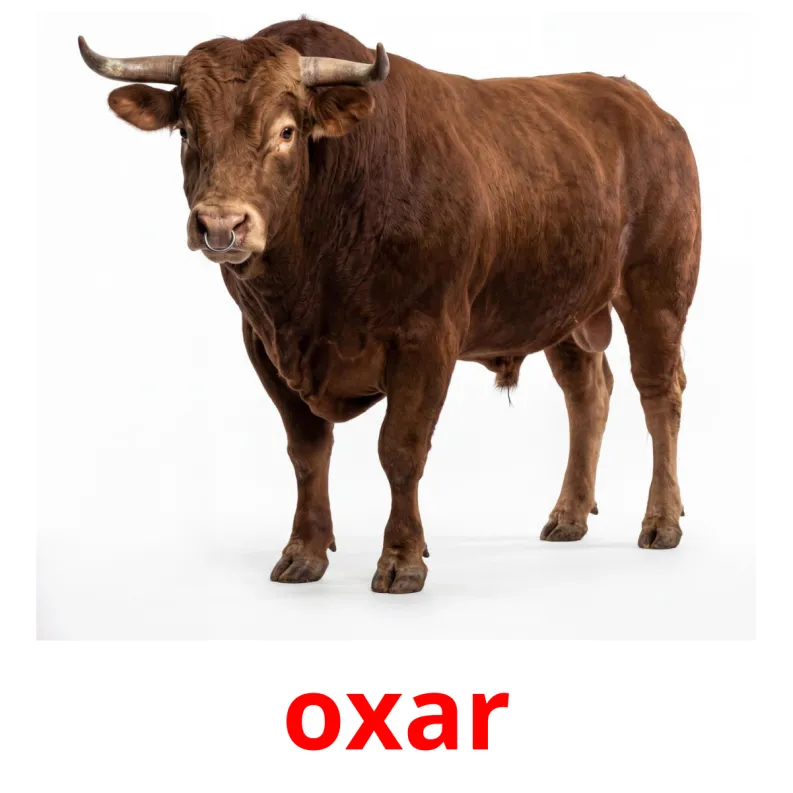 15 FREE Farm animals Flashcards | PDF | Swedish Words