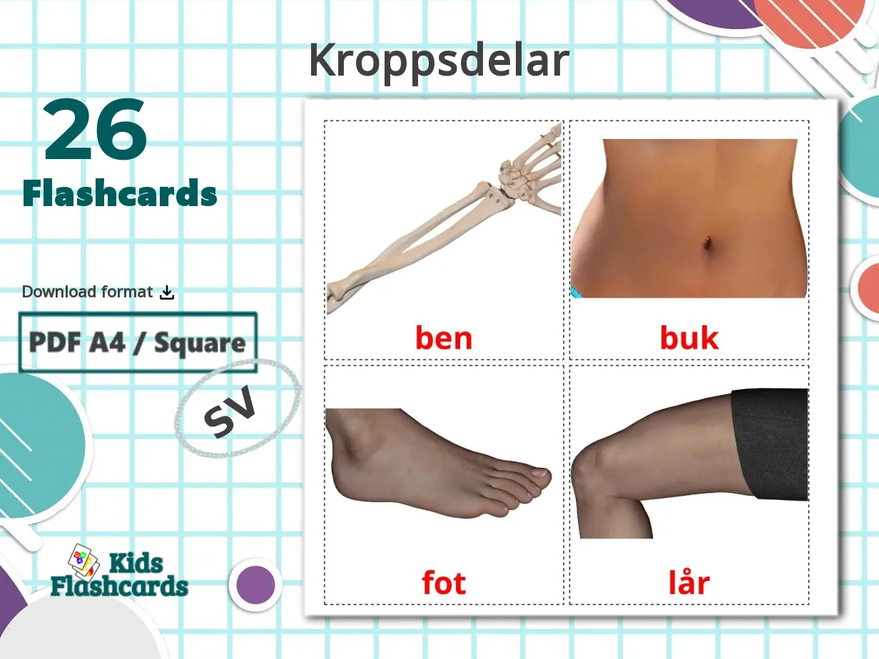 26 Printable Body Parts Flashcards in Swedish (Free PDF)