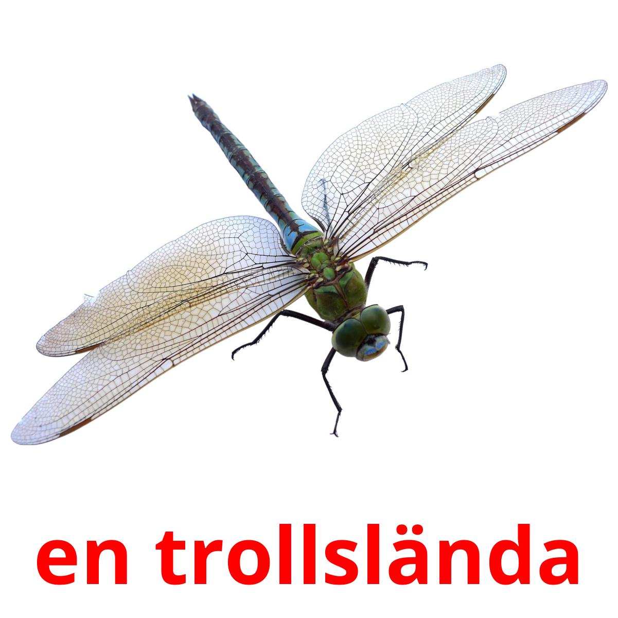 24 Printable Insects Flashcards in Swedish (Free PDF)