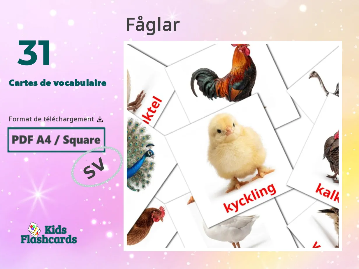 31 Flashcards Oiseaux GRATUIT à imprimer | PDF | Vocabulaire Suédois