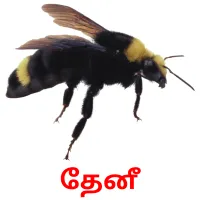 24 Printable Insects Flashcards in Tamil (Free PDF)