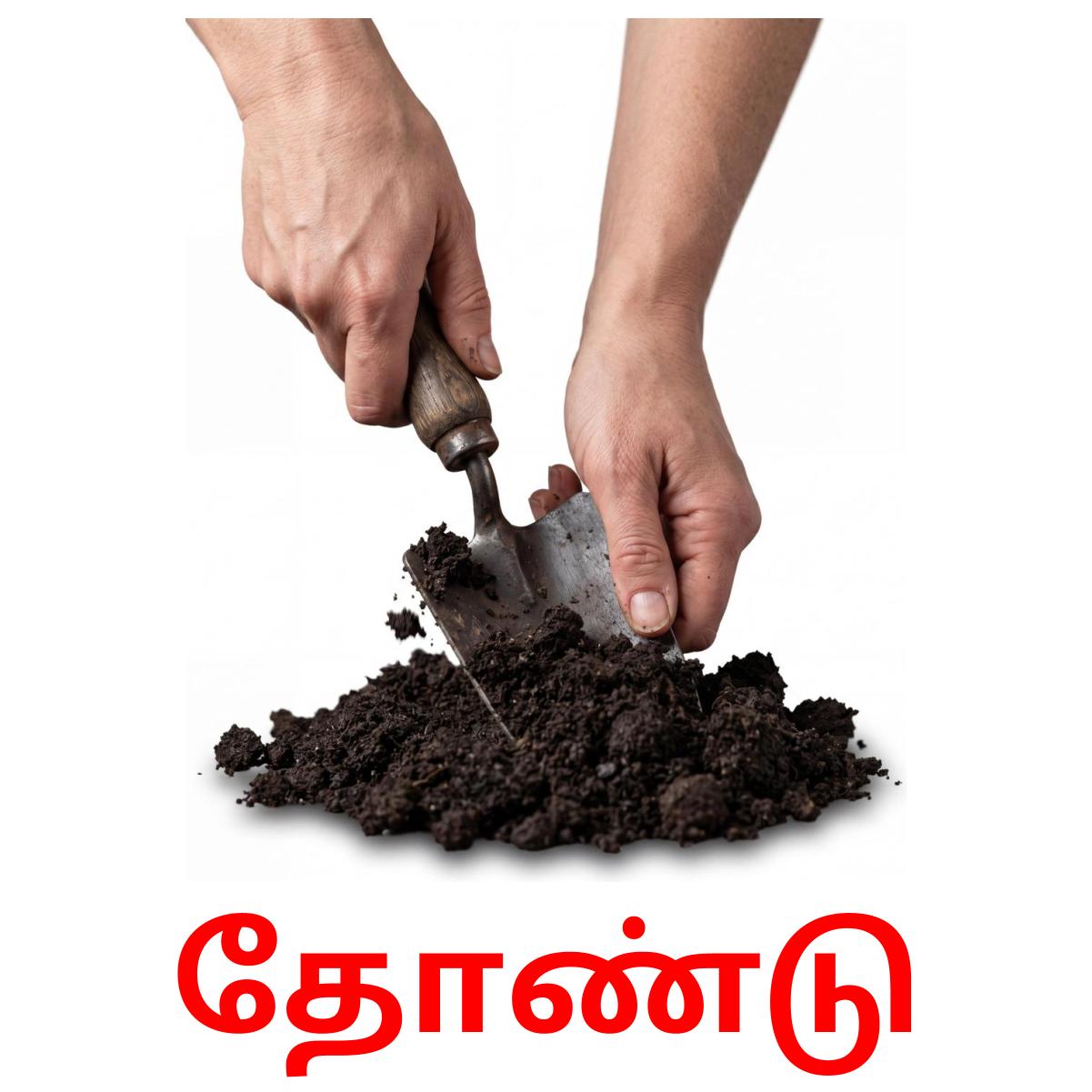 51 FREE Action verbs Flashcards | PDF | Tamil Words