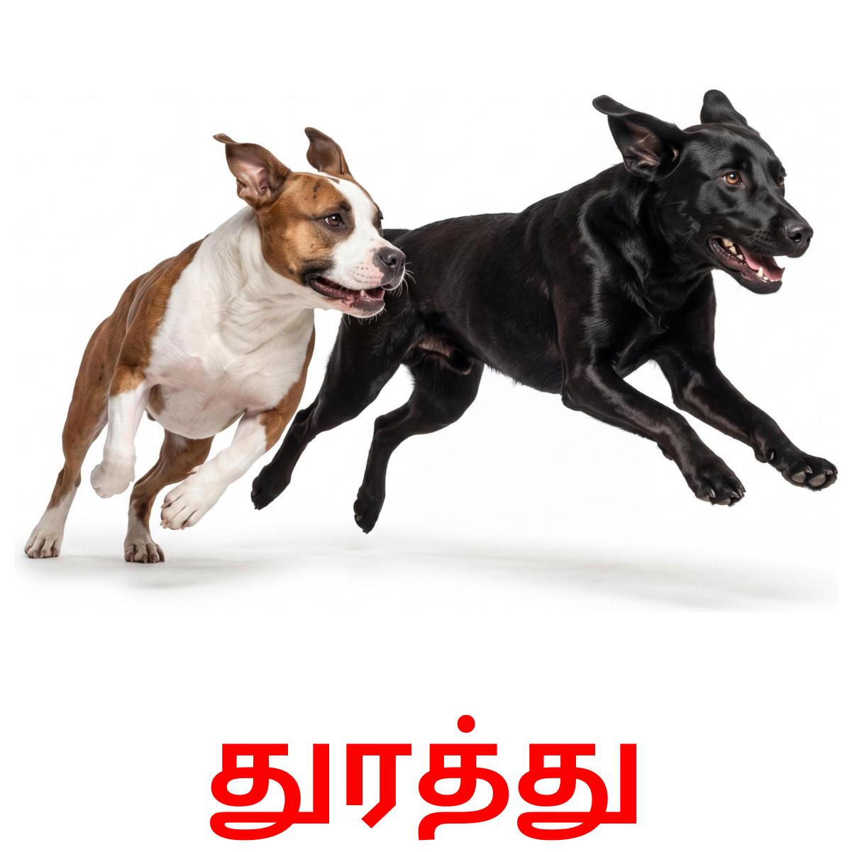 19 FREE Movement verbs Flashcards | PDF | Tamil Words
