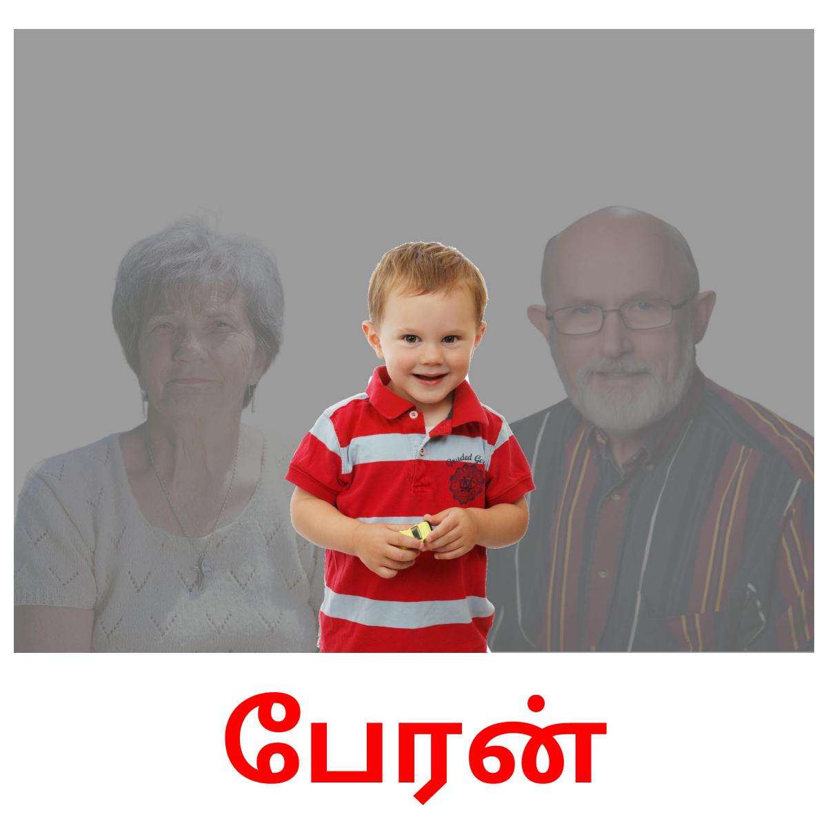 32 Printable Family members Flashcards in Tamil (Free PDF)