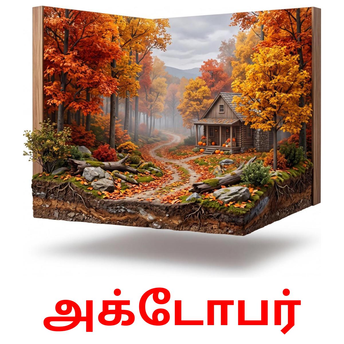13 Printable Months of the Year Flashcards in Tamil (Free PDF)