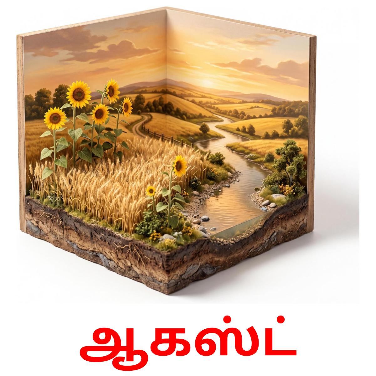 13 Printable Months of the Year Flashcards in Tamil (Free PDF)