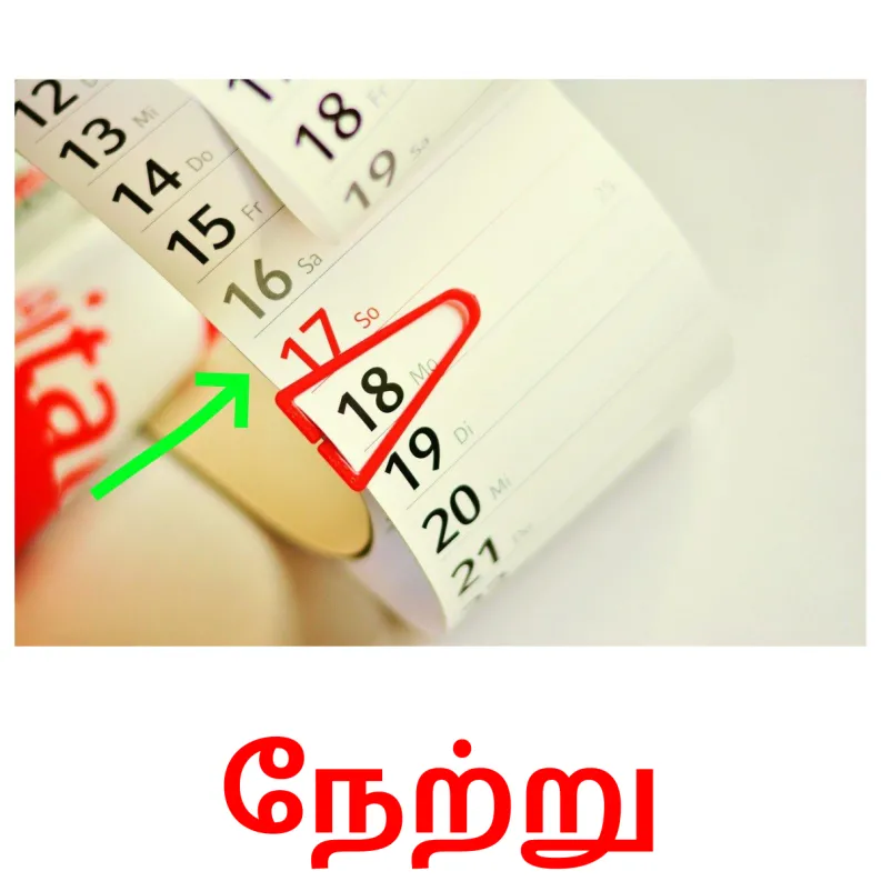 12 FREE Days of Week Flashcards | PDF | Tamil Words