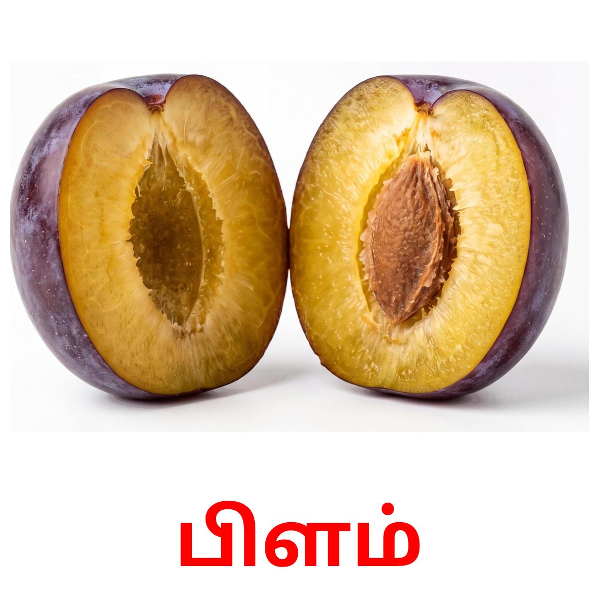 21 Printable Fruits Flashcards in Tamil (Free PDF)