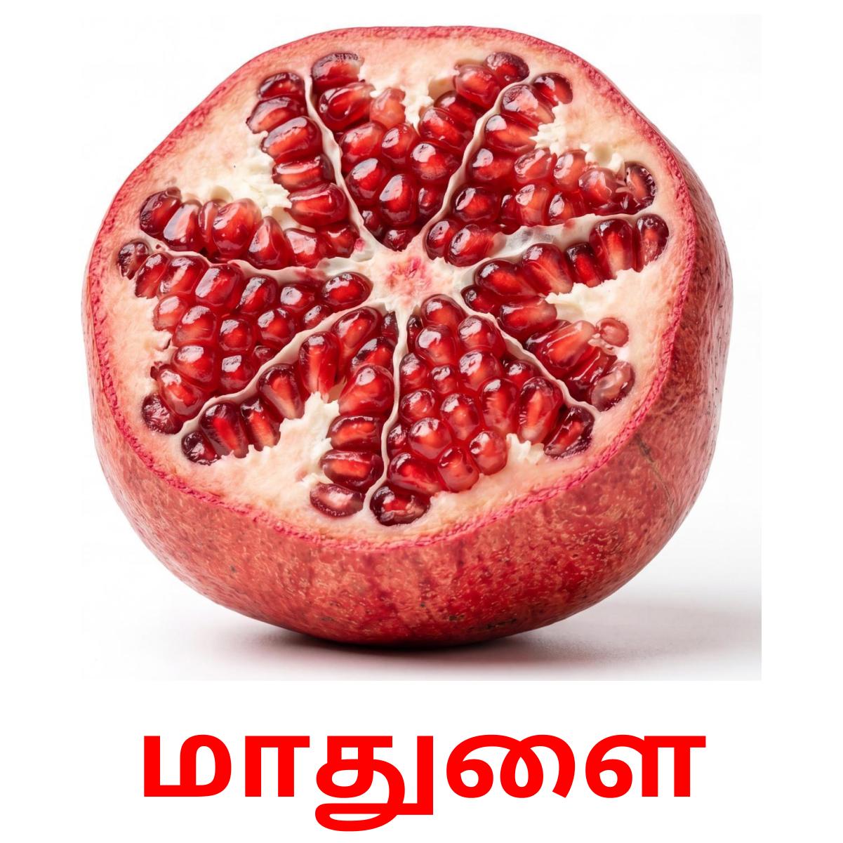 21 Printable Fruits Flashcards in Tamil (Free PDF)