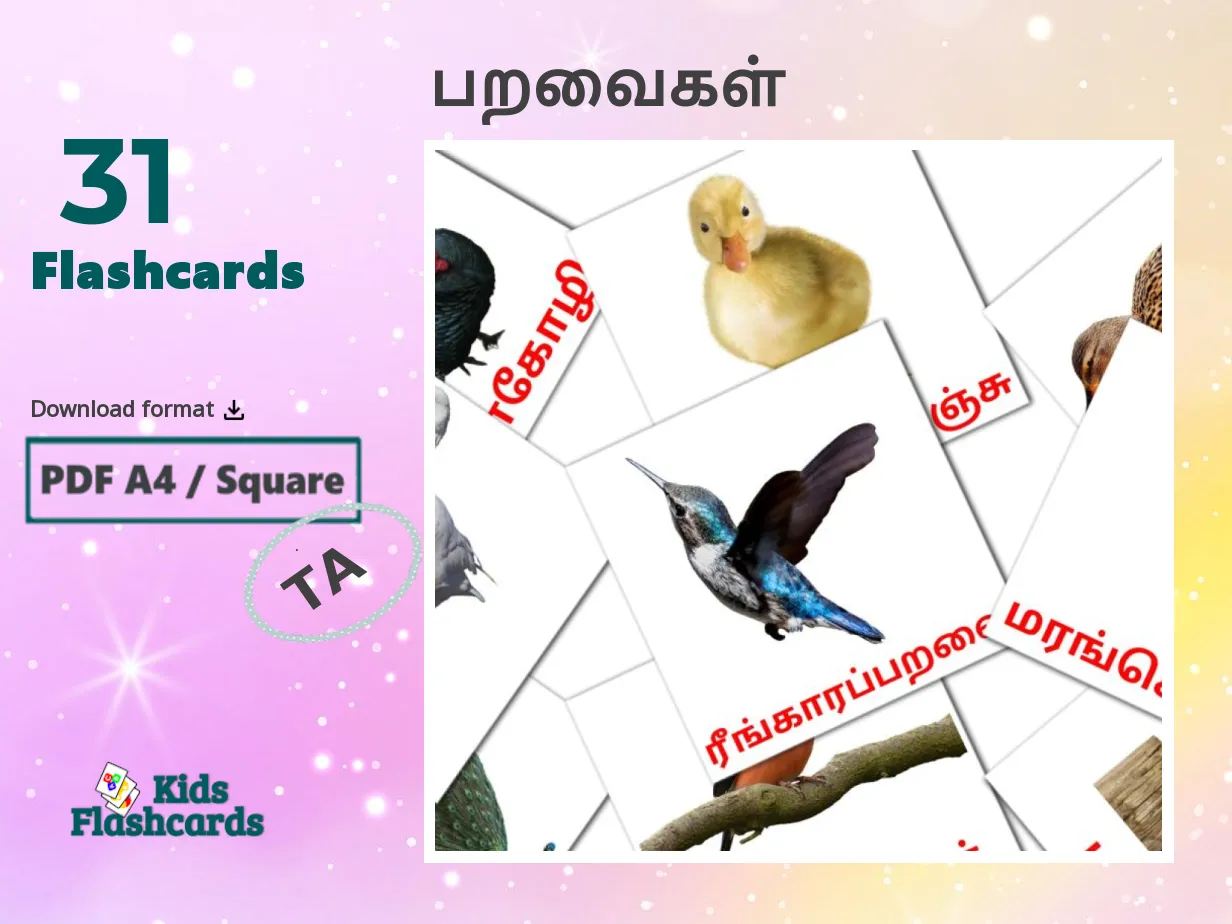 31 FREE Tamil Birds Flashcards | PDF