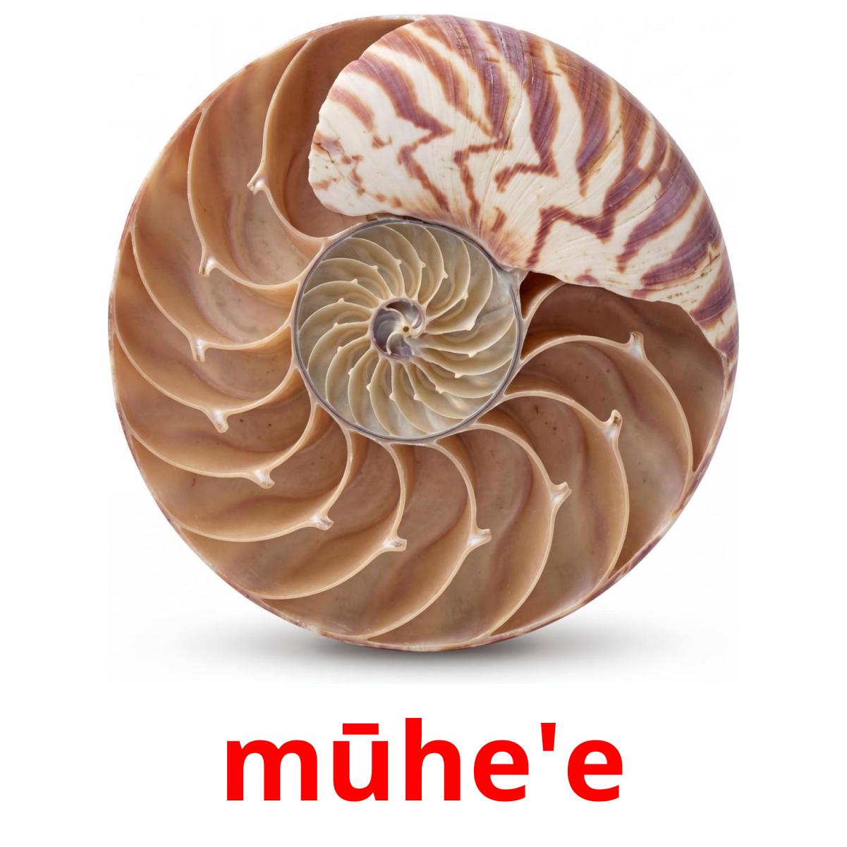30 Printable Sea animals Flashcards in Tahitian (Free PDF)