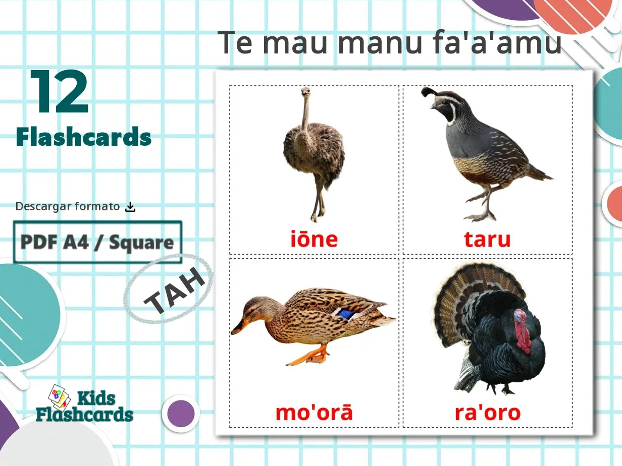 12 Tarjetas de Aprendizaje de Aves de granja GRATIS en PDF | Imágenes ...