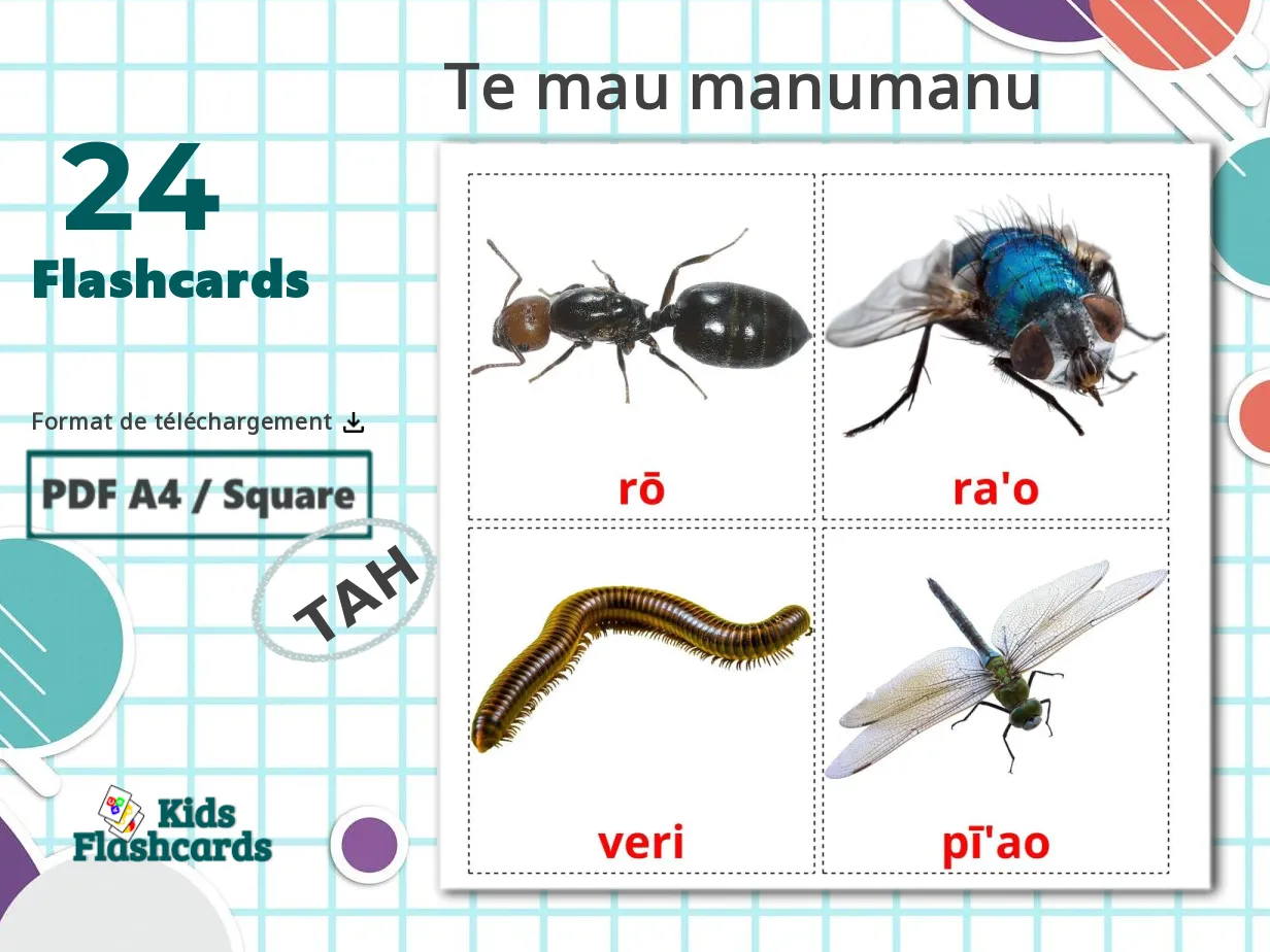 24 Cartes de Vocabulaire pour Enfants GRATUITES Les Insectes à Imprimer ...