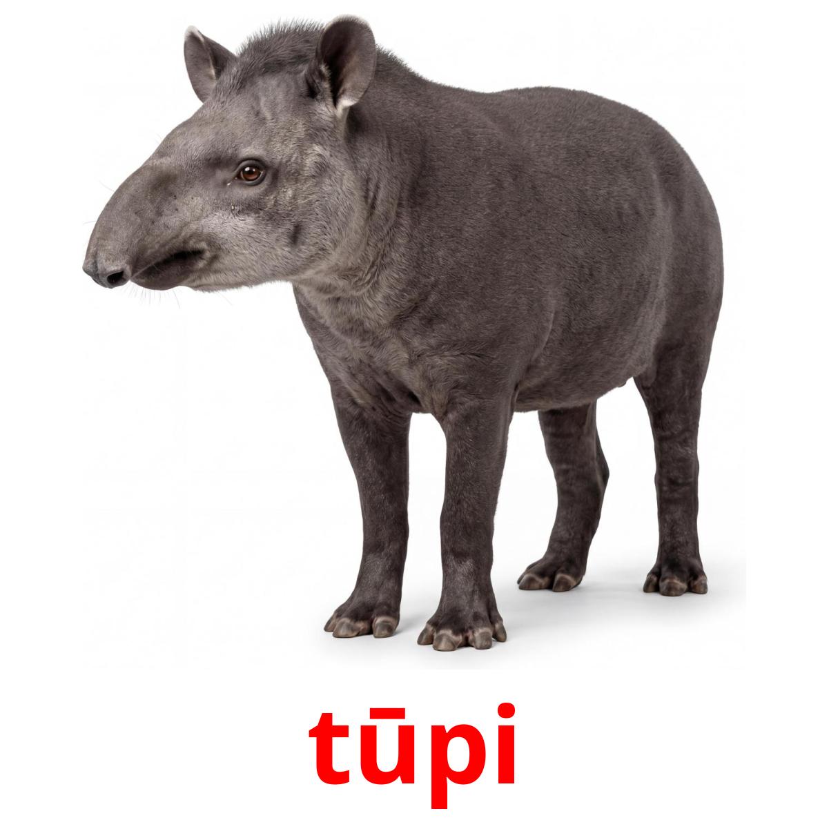 22 Printable Jungle animals Flashcards in Tahitian (Free PDF)