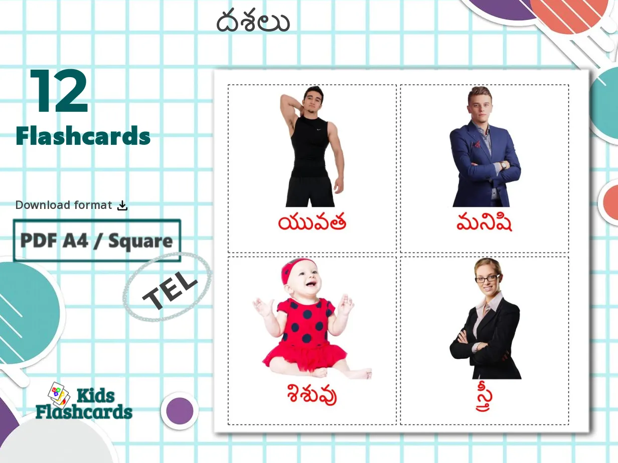 12 Printable Stages Flashcards in Telugu (Free PDF)