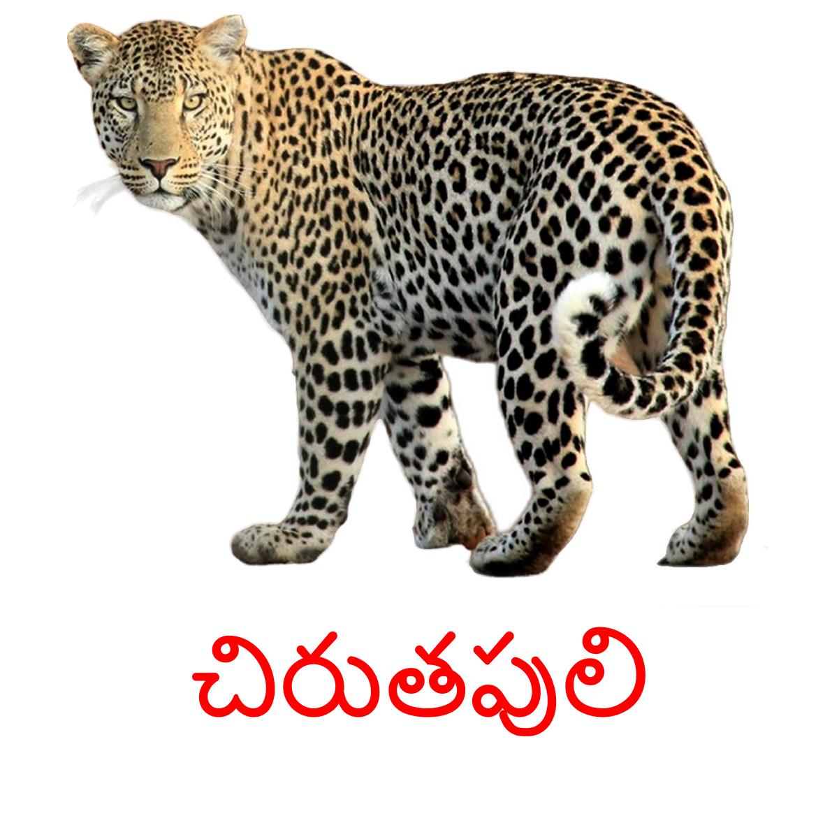 22 Printable Jungle animals Flashcards in Telugu (Free PDF)
