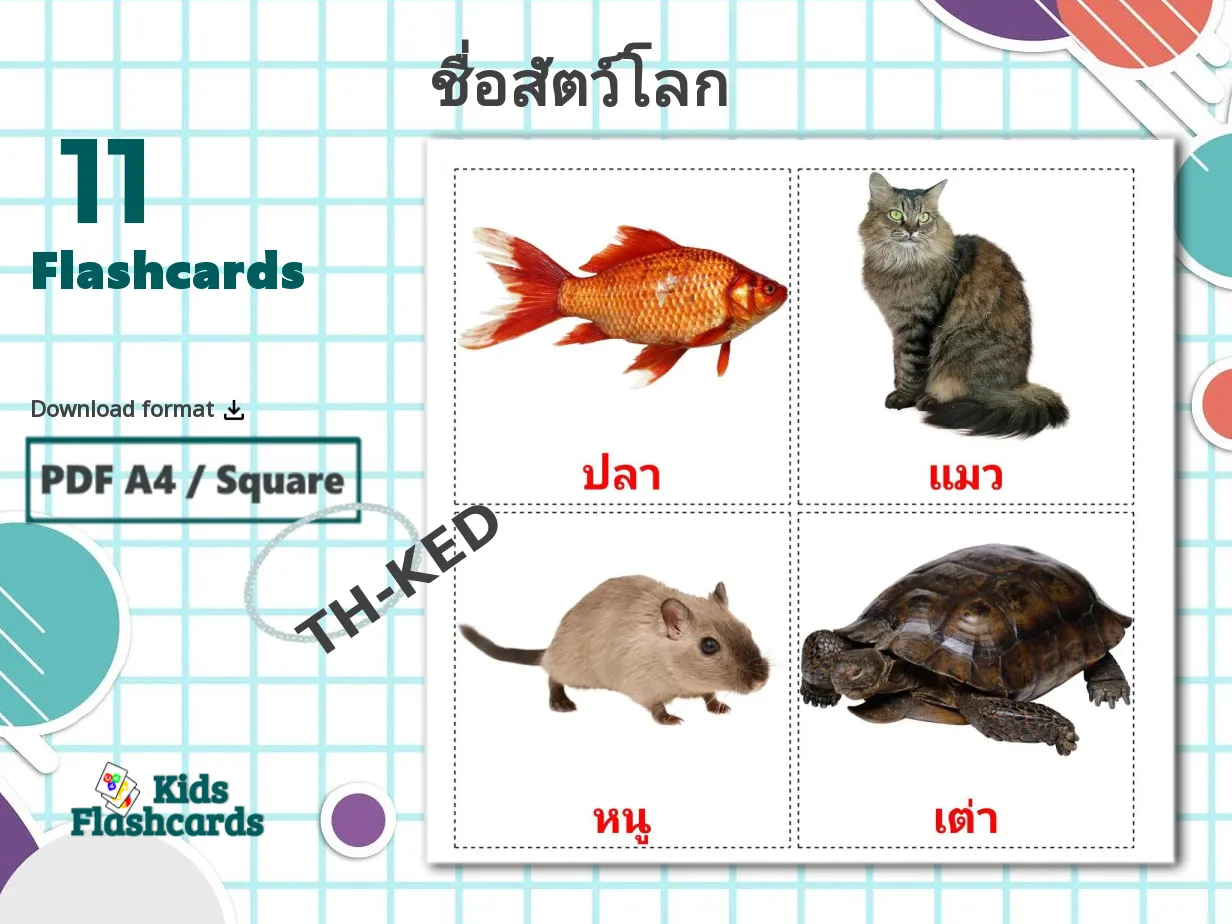 11 Printable Domestic animals Flashcards in Thai (Free PDF)