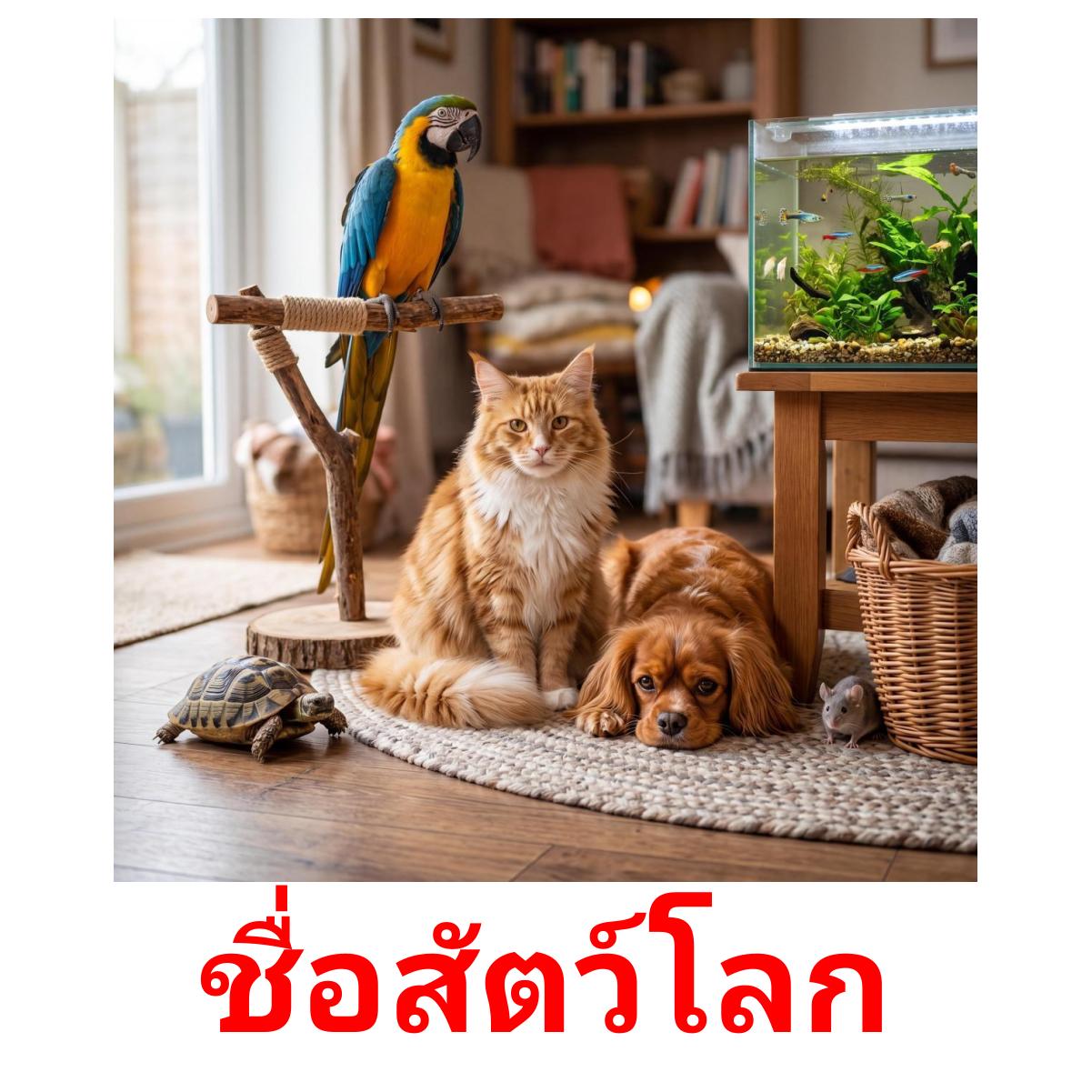 11 Printable Domestic animals Flashcards in Thai (Free PDF)