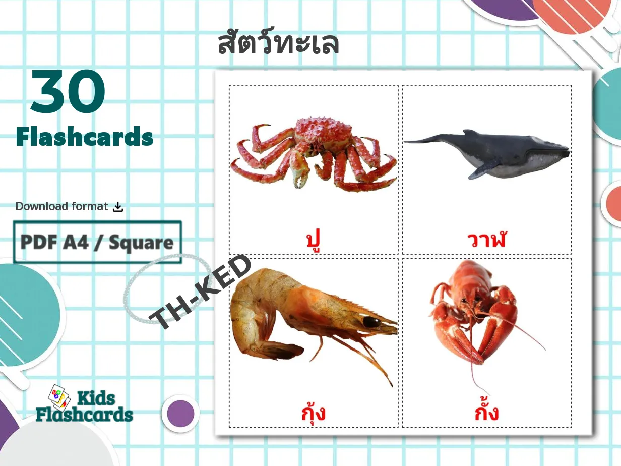 30 Printable Sea animals Flashcards in Thai (Free PDF)