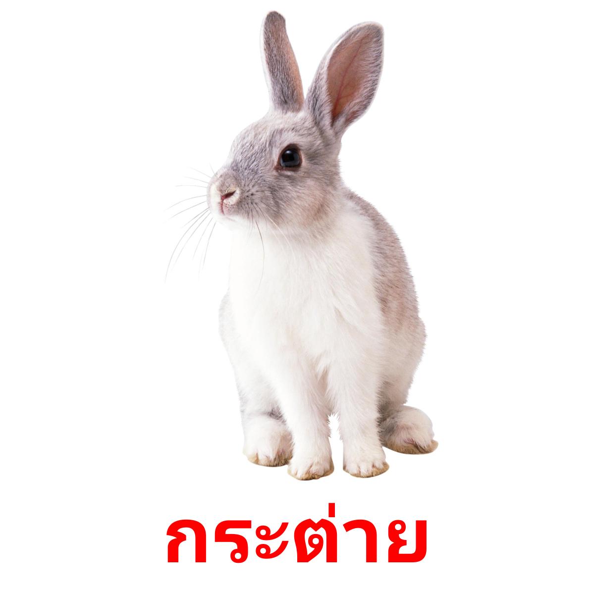 15 Printable Farm animals Flashcards in Thai (Free PDF)