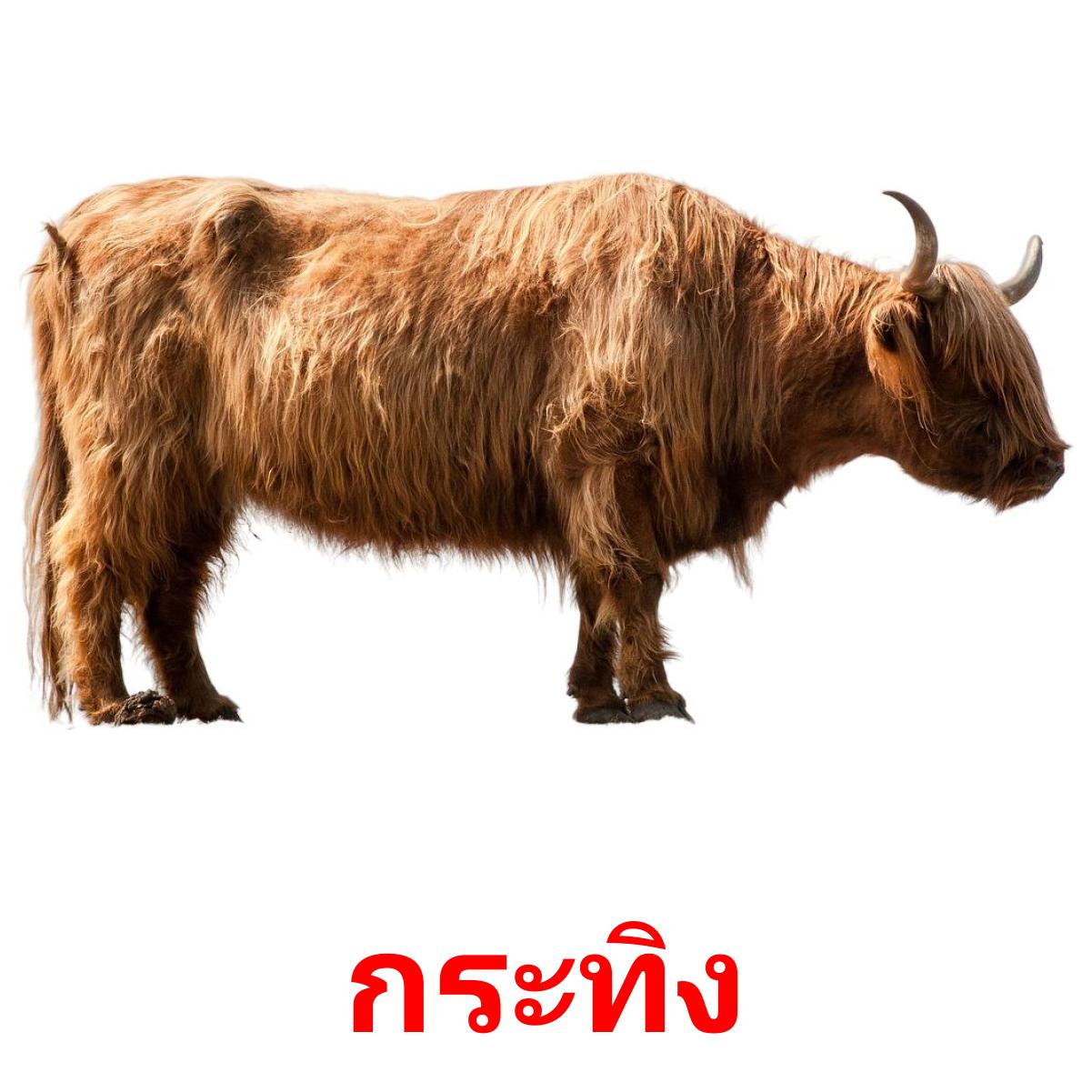 15 Printable Farm animals Flashcards in Thai (Free PDF)