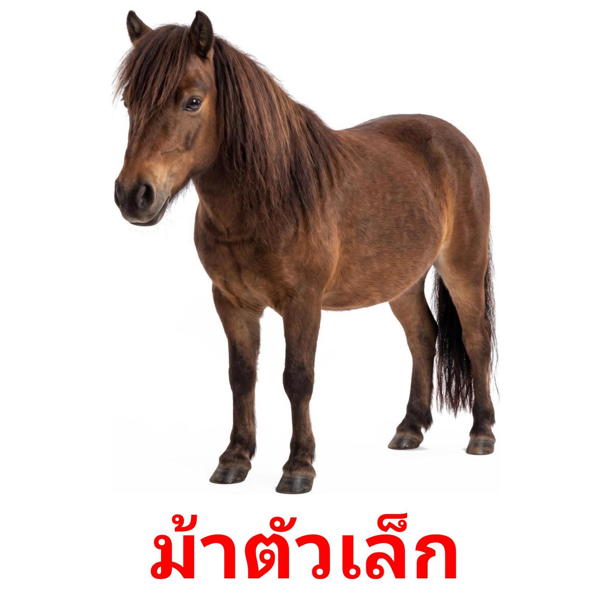 15 Printable Farm animals Flashcards in Thai (Free PDF)