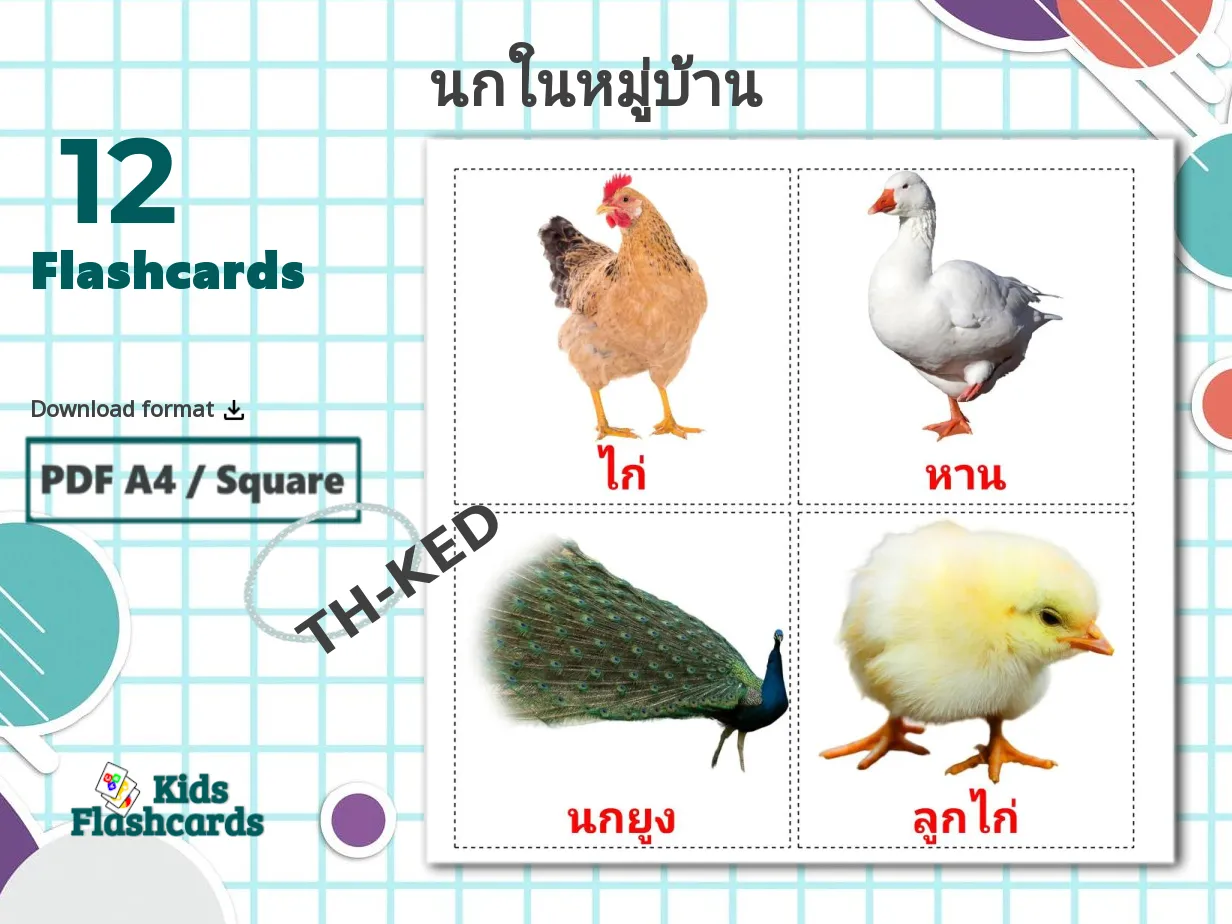12 Printable Farm birds Flashcards in Thai (Free PDF)