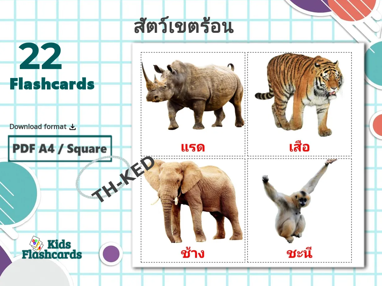 22 FREE Jungle animals Flashcards | PDF | Thai Words