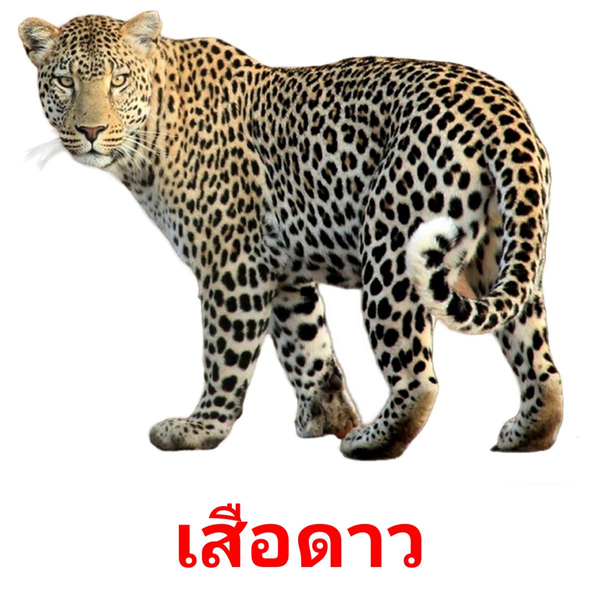 21 FREE Jungle animals Flashcards in 4 PDF formats | Thai Pictures