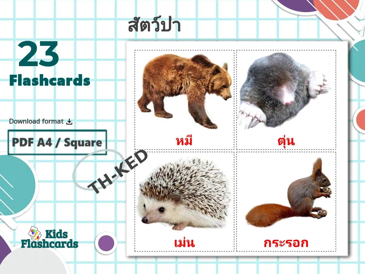 23 Printable Forest animals Flashcards in Thai (Free PDF)