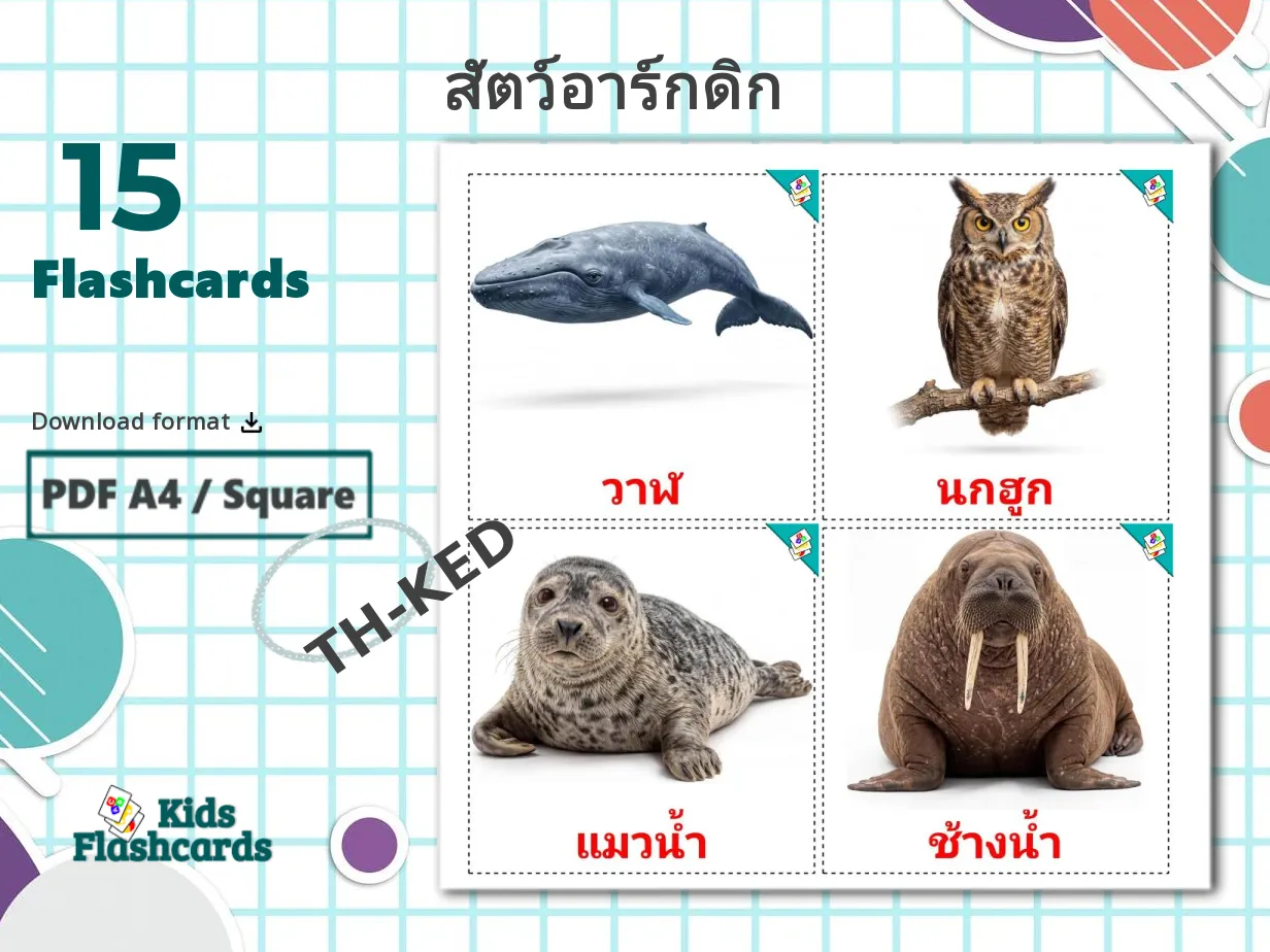 15 Printable Arctic animals Flashcards in Thai (Free PDF)