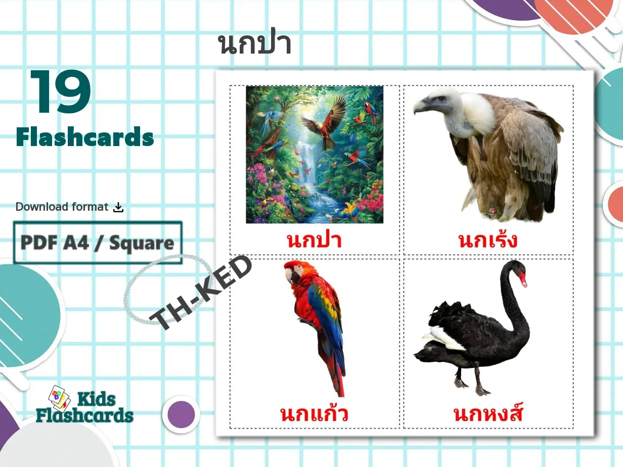 19 Printable Wild birds Flashcards in Thai (Free PDF)