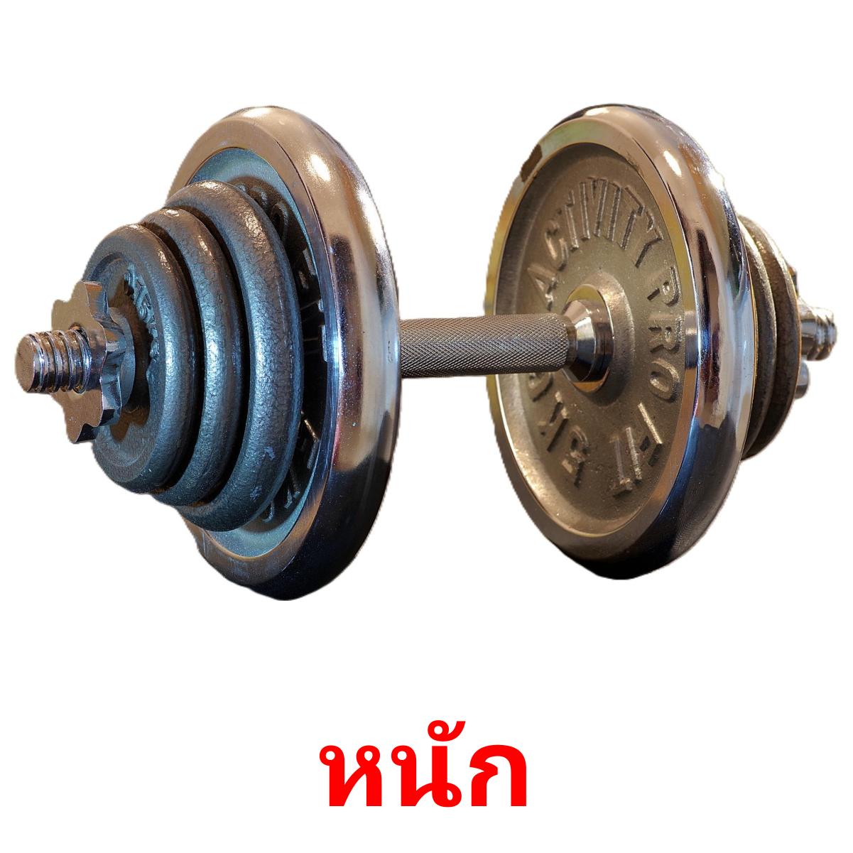 73 Printable Opposites Flashcards in Thai (Free PDF)