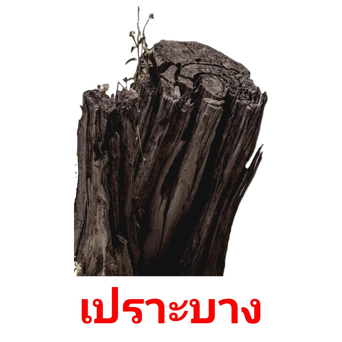 73 Printable Opposites Flashcards in Thai (Free PDF)