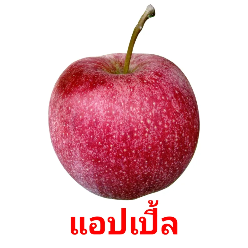 20 FREE Fruits Flashcards | PDF | Thai Words