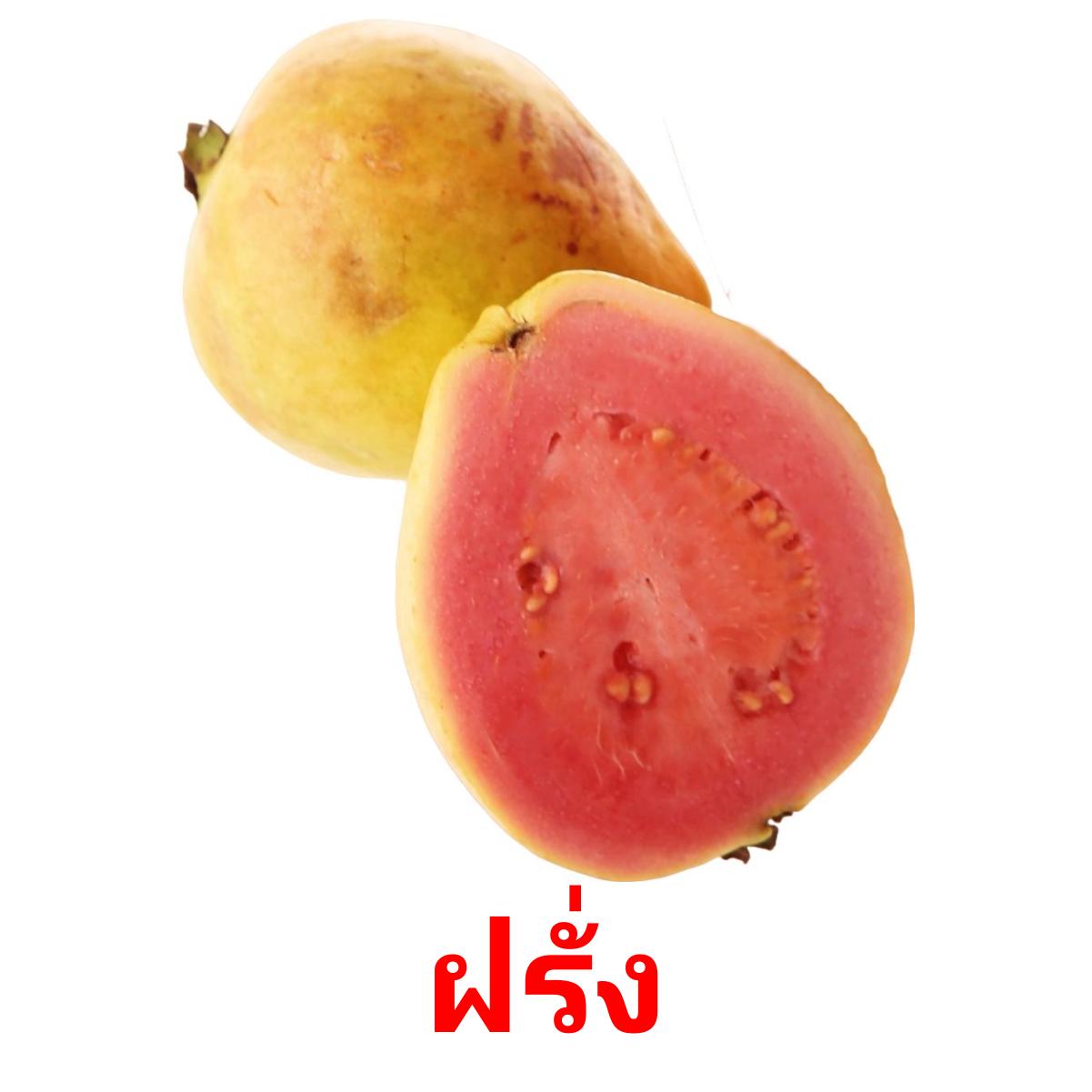 21 Printable Fruits Flashcards in Thai (Free PDF)