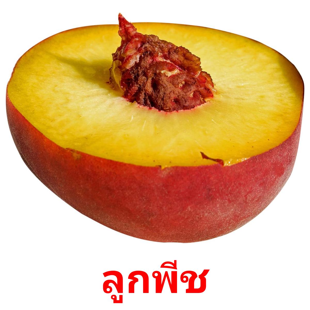 21 Printable Fruits Flashcards in Thai (Free PDF)