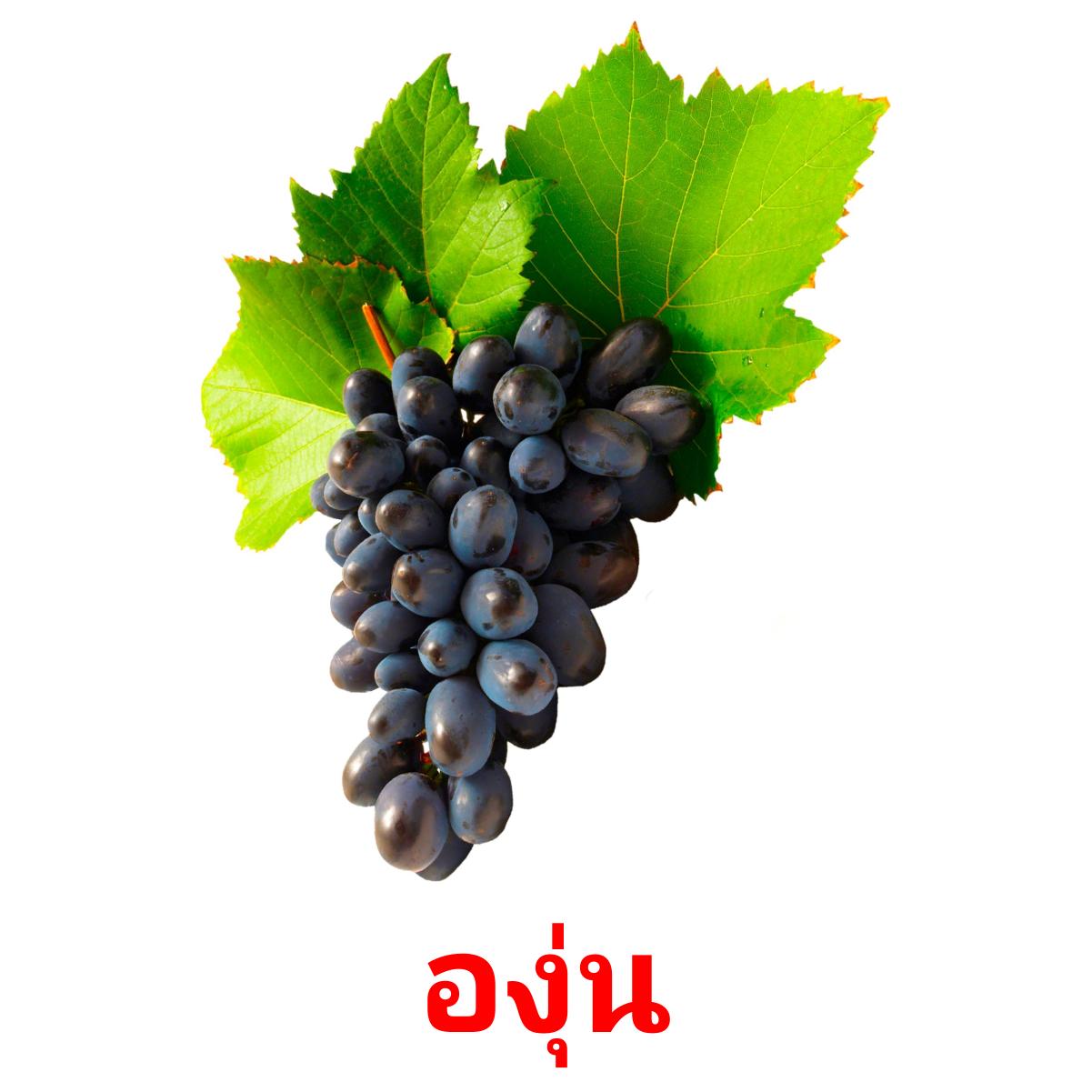 21 Printable Fruits Flashcards in Thai (Free PDF)