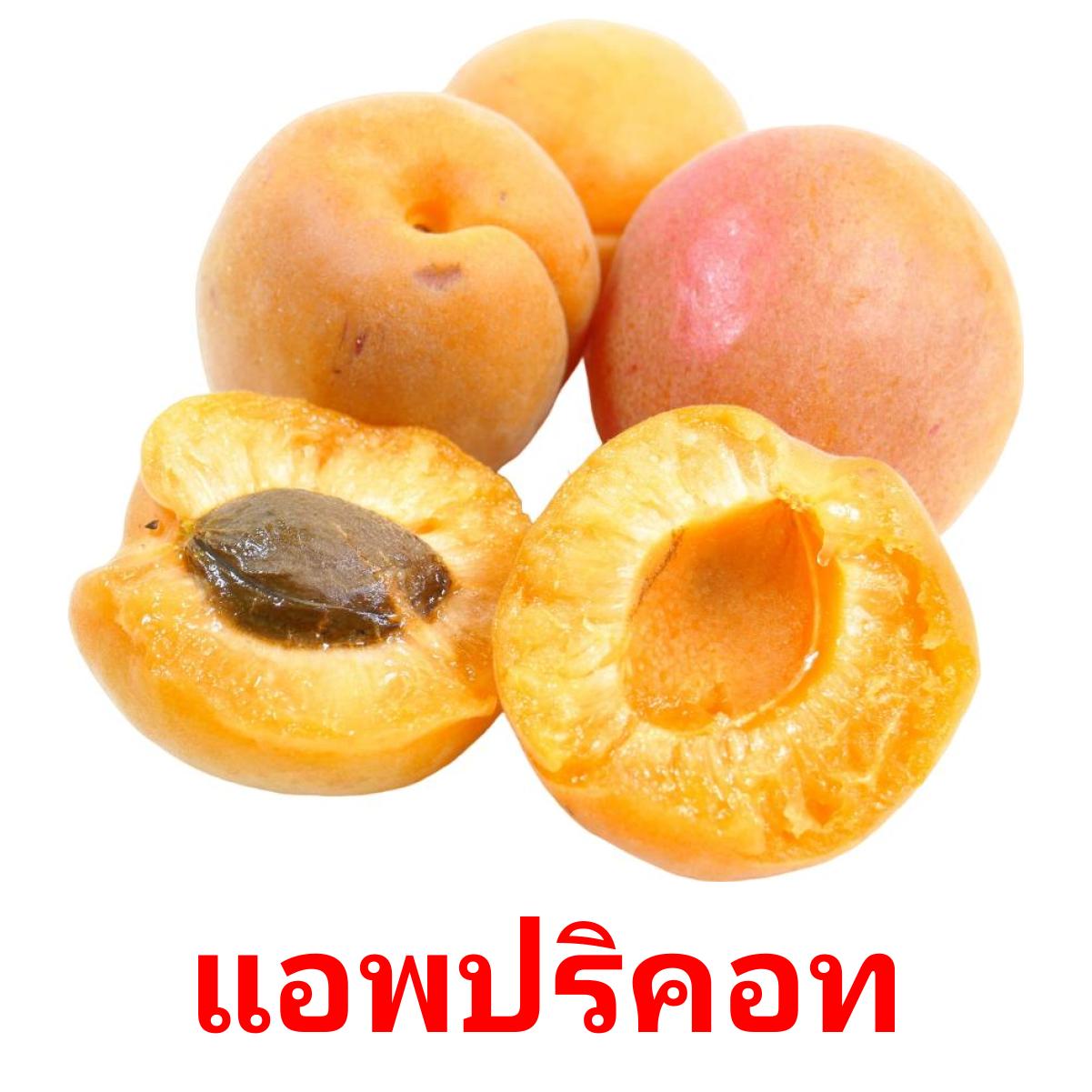 21 Printable Fruits Flashcards in Thai (Free PDF)