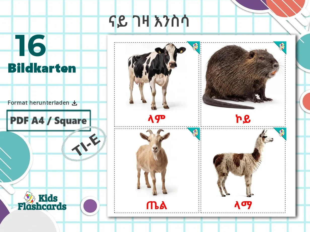 16 Nutztiere Bildkarten in PDF | Tigrigna(Eritrea) Bilder