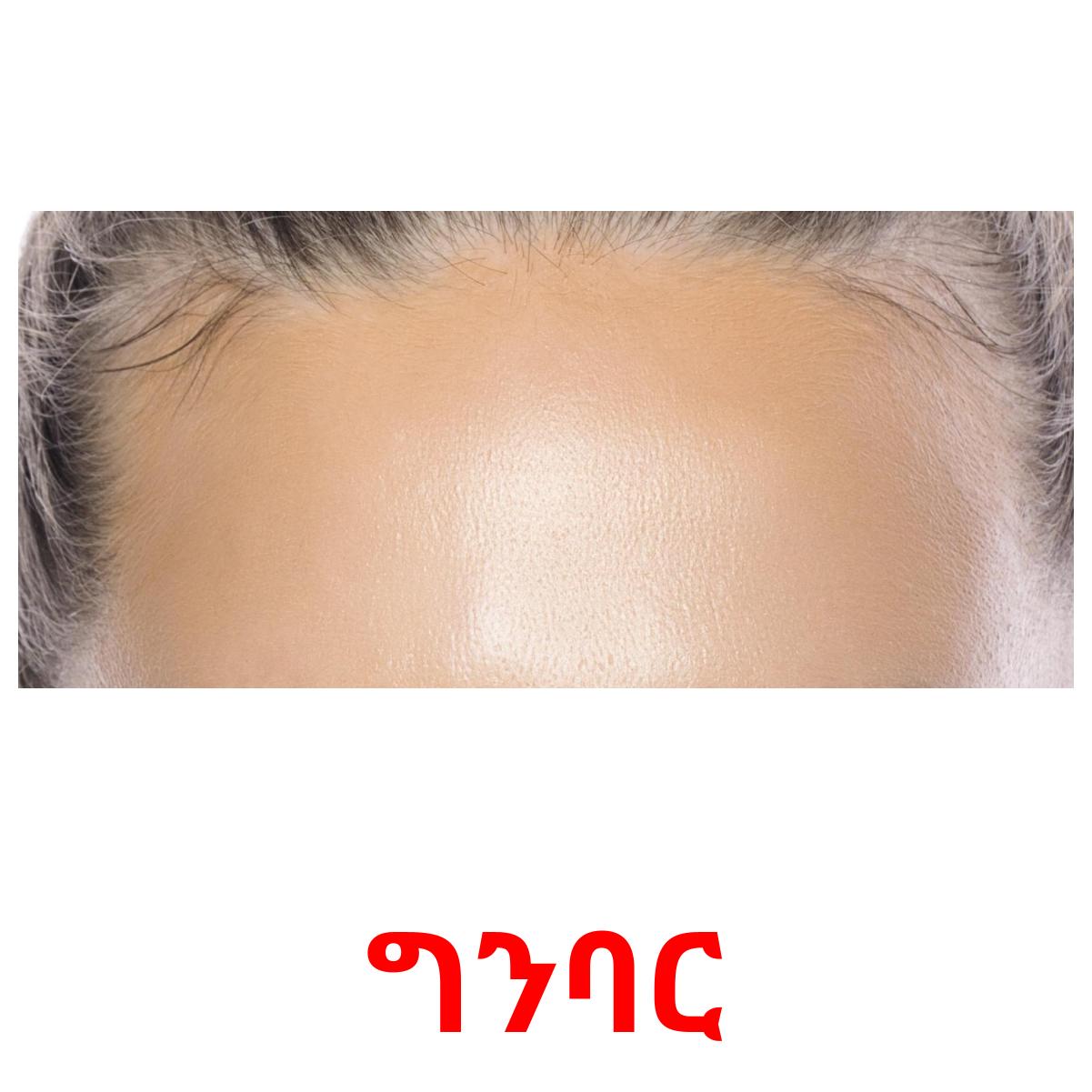 20 Cartes Nomenclature Montessori Parties du Visage GRATUIT à Imprimer ...