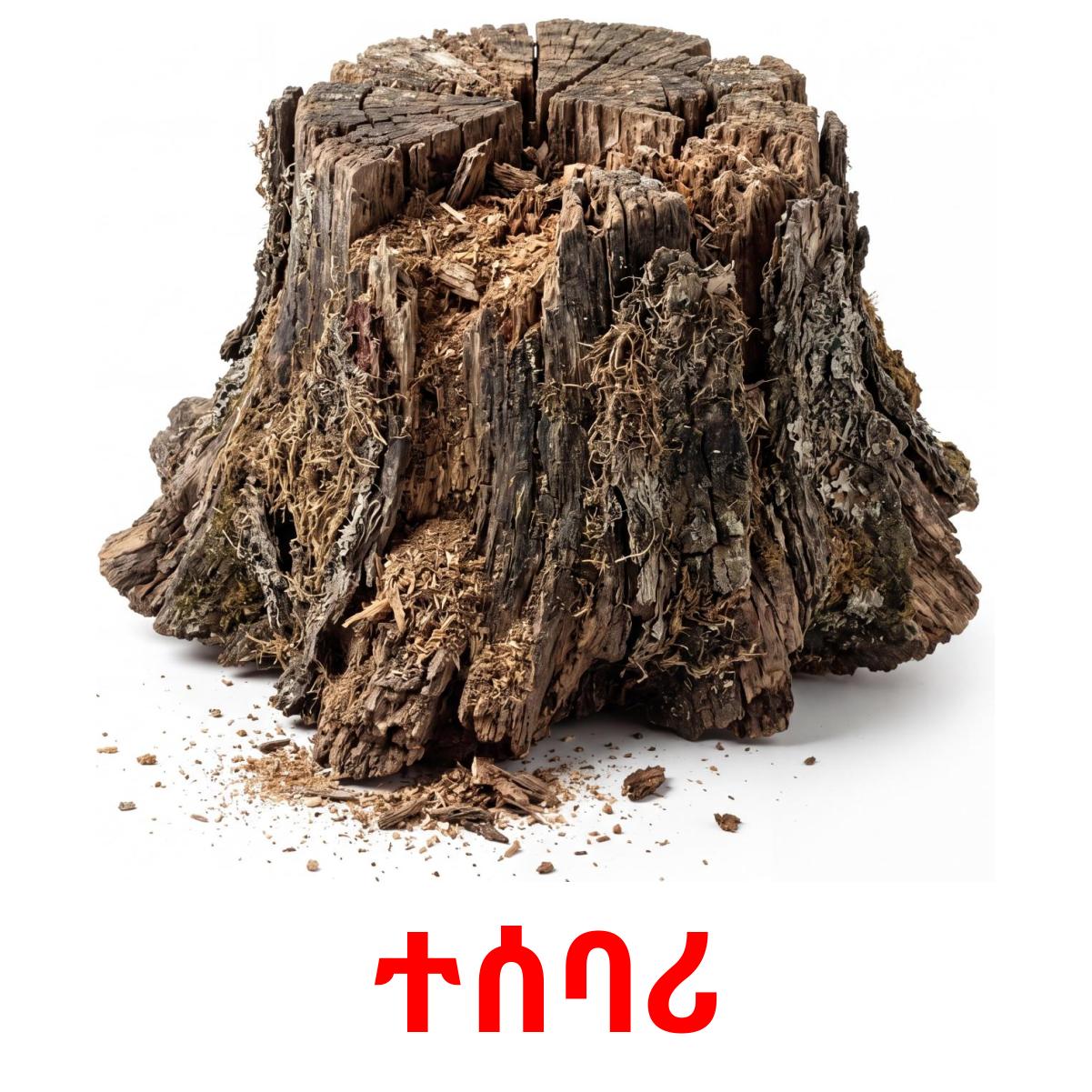 72 FREE Opposites Flashcards | PDF | Tigrigna(Eritrea) Words
