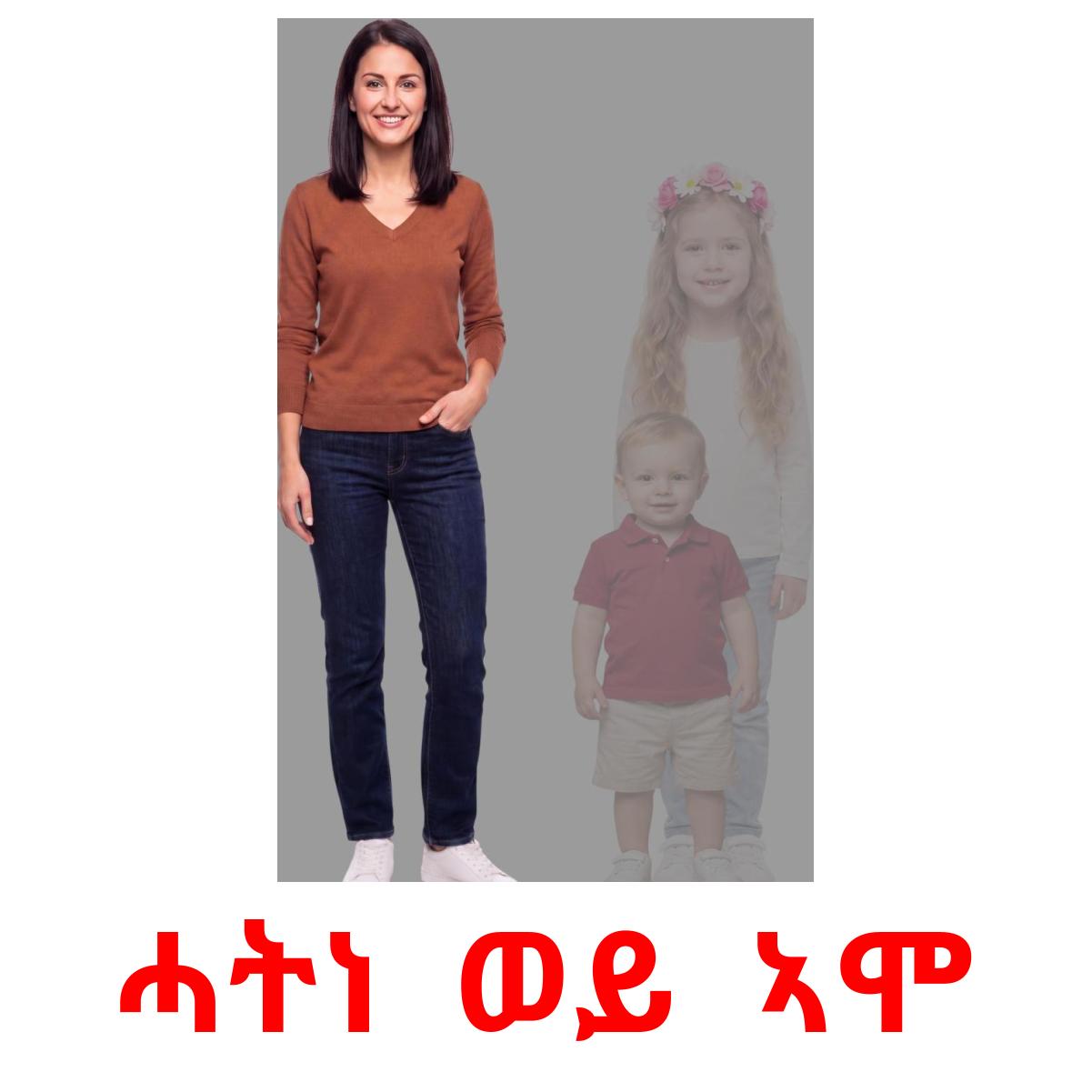 32 Printable Family members Flashcards in Tigrigna(Eritrea) (Free PDF)