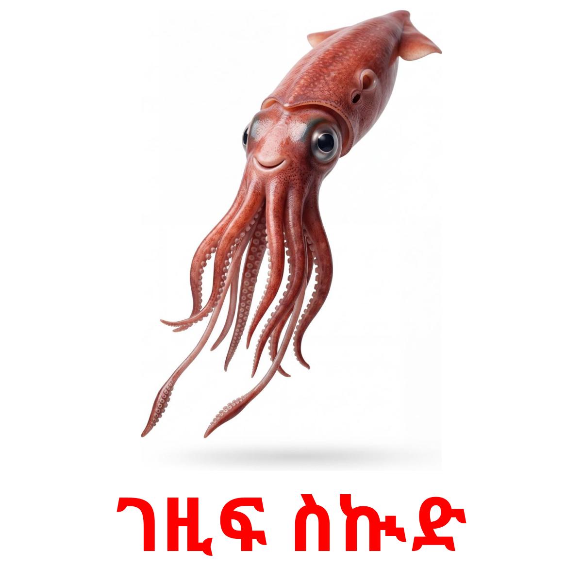 30 Printable Sea animals Flashcards in Tigrigna (Free PDF)